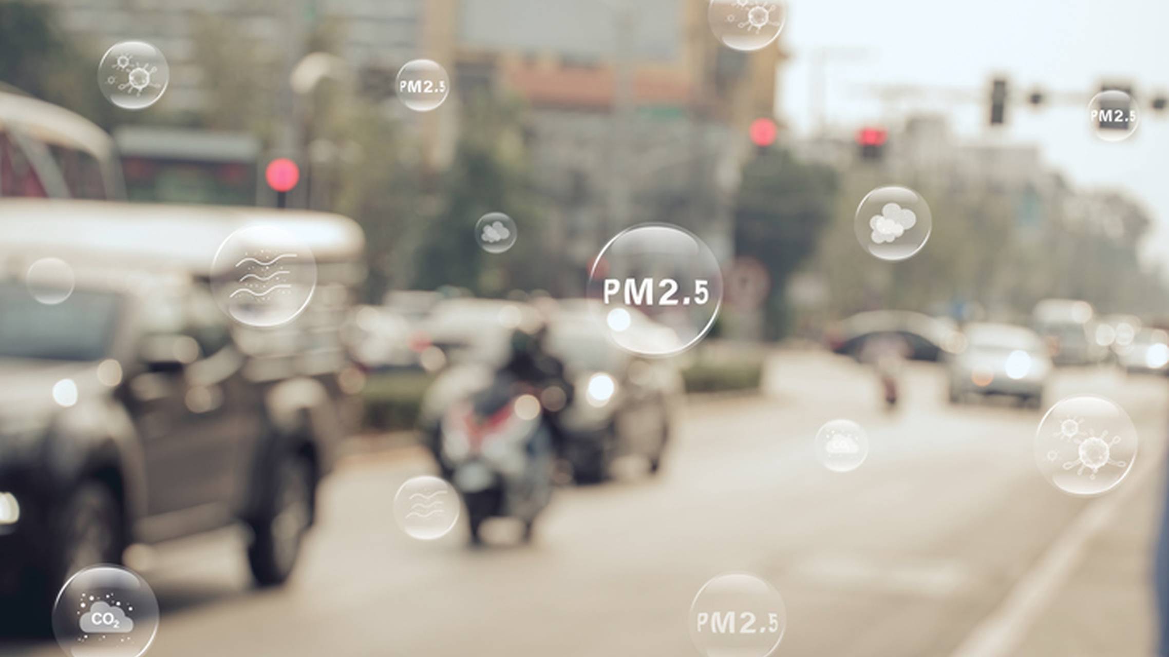 eczema and particulate matter