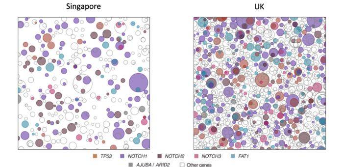 Skin Cancer-related Mutations Higher in the UK Than Singapore ...